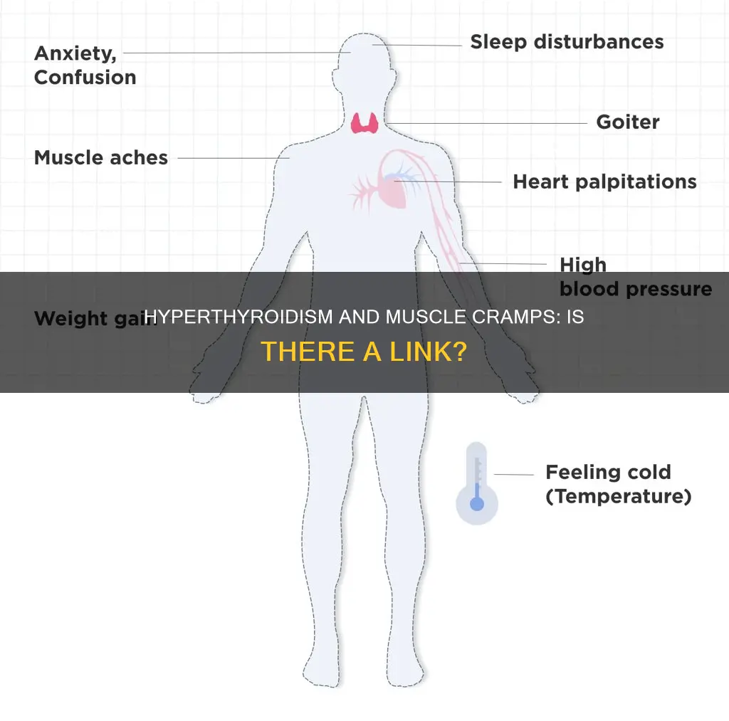 Hyperthyroidism And Muscle Cramps: Is There A Link? | CyVigor
