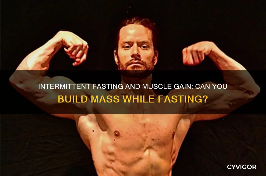 Intermittent Fasting And Muscle Gain: Can You Build Mass While Fasting ...