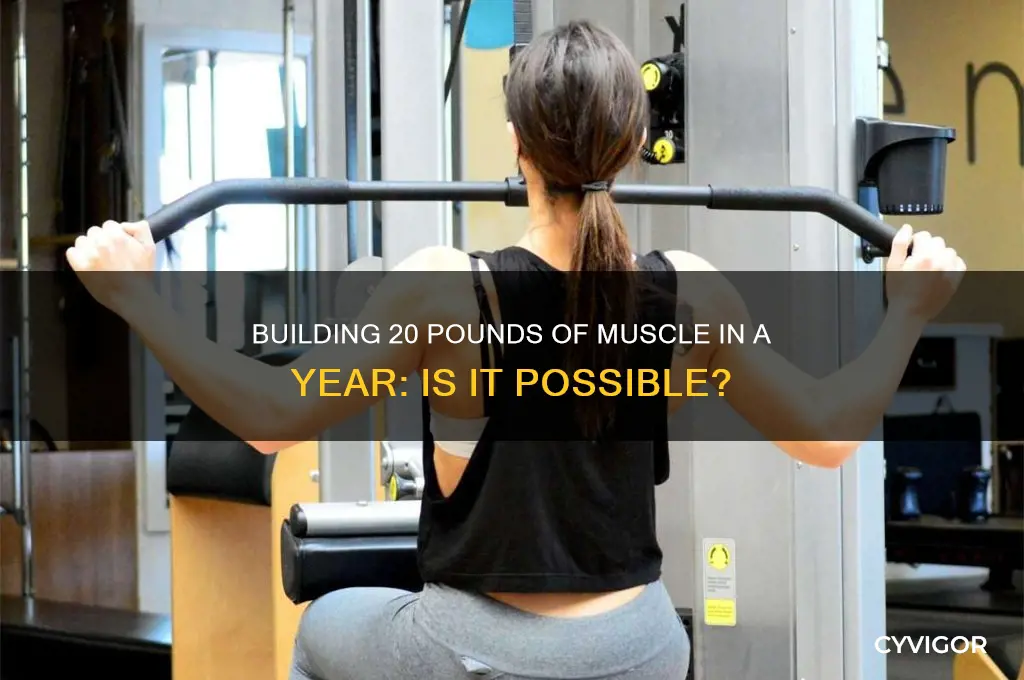 Building 20 Pounds Of Muscle In A Year: Is It Possible? | CyVigor