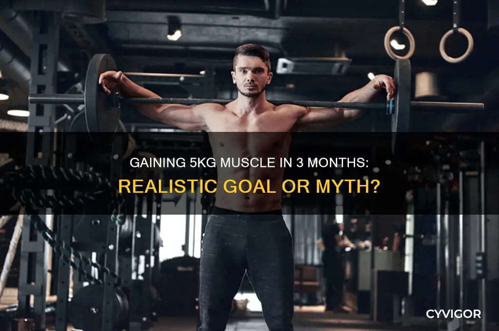 Gaining 5Kg Muscle In 3 Months: Realistic Goal Or Myth? | CyVigor