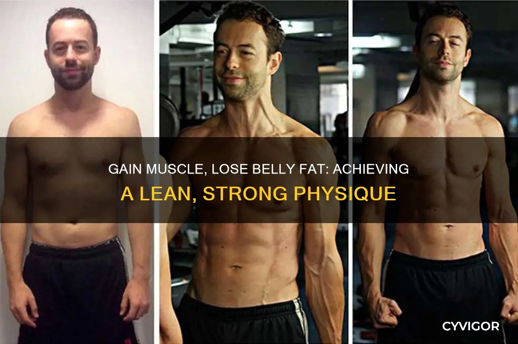 Gain Muscle, Lose Belly Fat: Achieving A Lean, Strong Physique | CyVigor