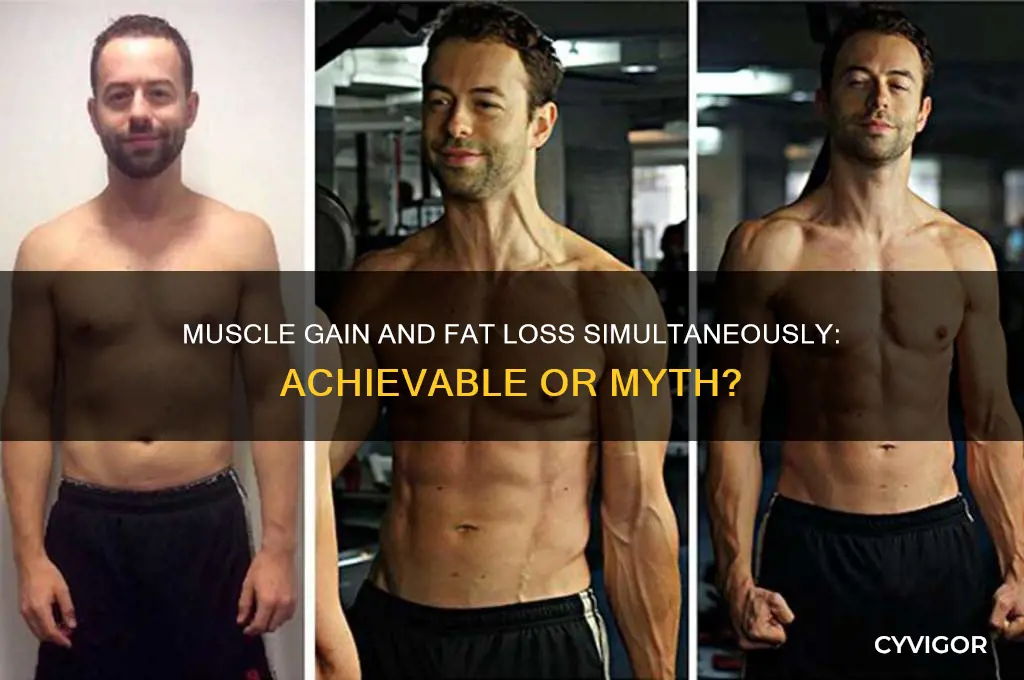 Muscle Gain And Fat Loss Simultaneously: Achievable Or Myth? | CyVigor