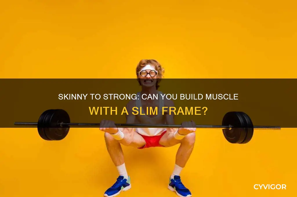 Skinny To Strong: Can You Build Muscle With A Slim Frame? | CyVigor