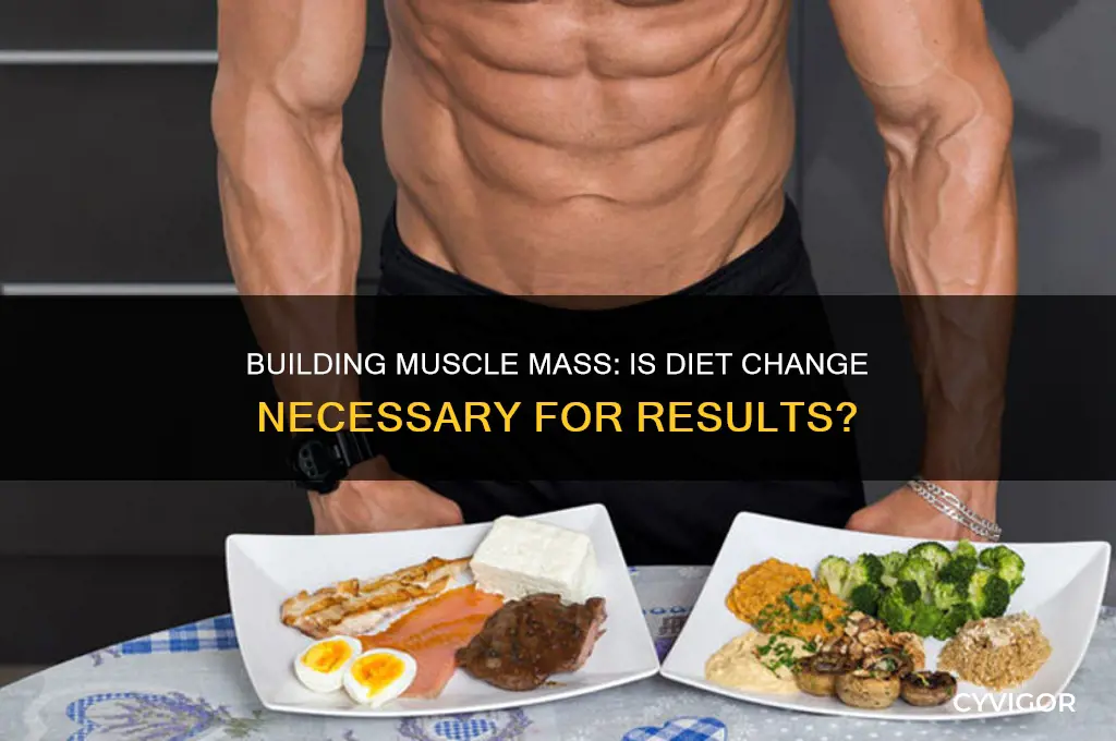 Building Muscle Mass: Is Diet Change Necessary For Results? | CyVigor