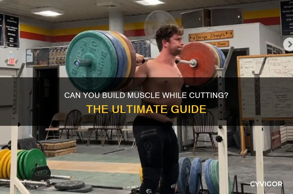 Can You Build Muscle While Cutting? The Ultimate Guide | CyVigor