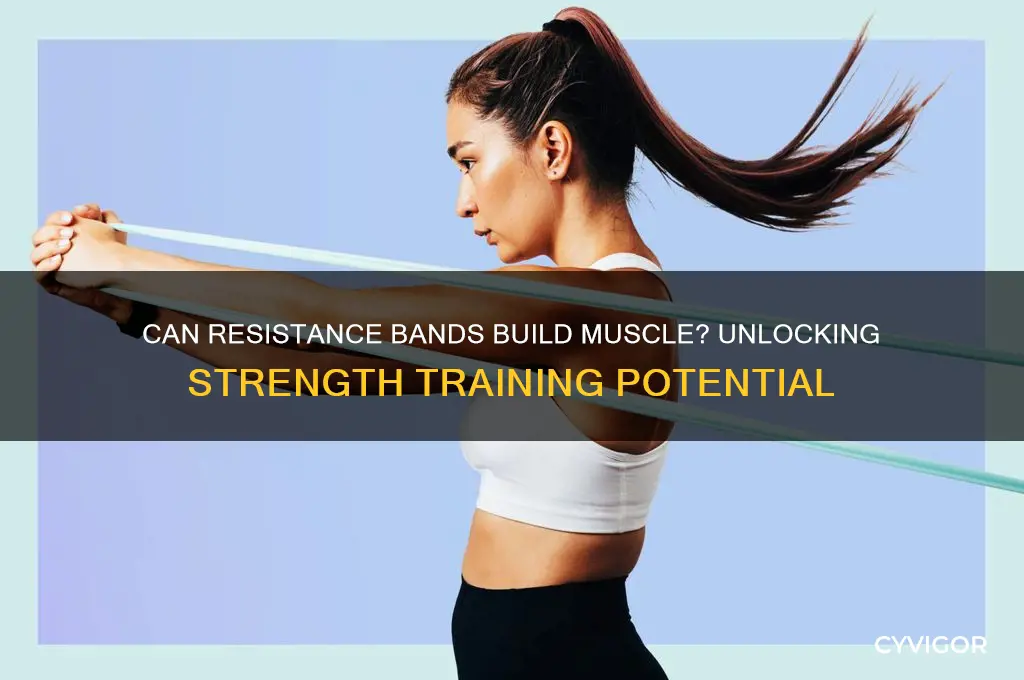Can Resistance Bands Build Muscle? Unlocking Strength Training ...