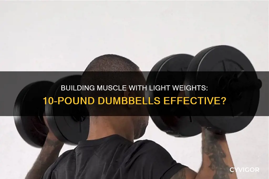 Building Muscle With Light Weights: 10-Pound Dumbbells Effective? | CyVigor