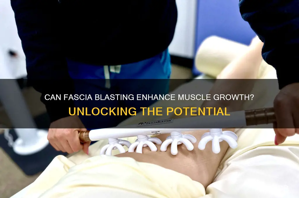 Can Fascia Blasting Enhance Muscle Growth? Unlocking The Potential ...