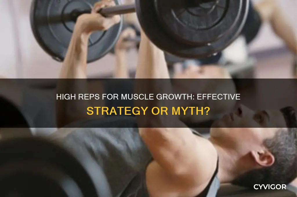 High Reps For Muscle Growth: Effective Strategy Or Myth? | CyVigor