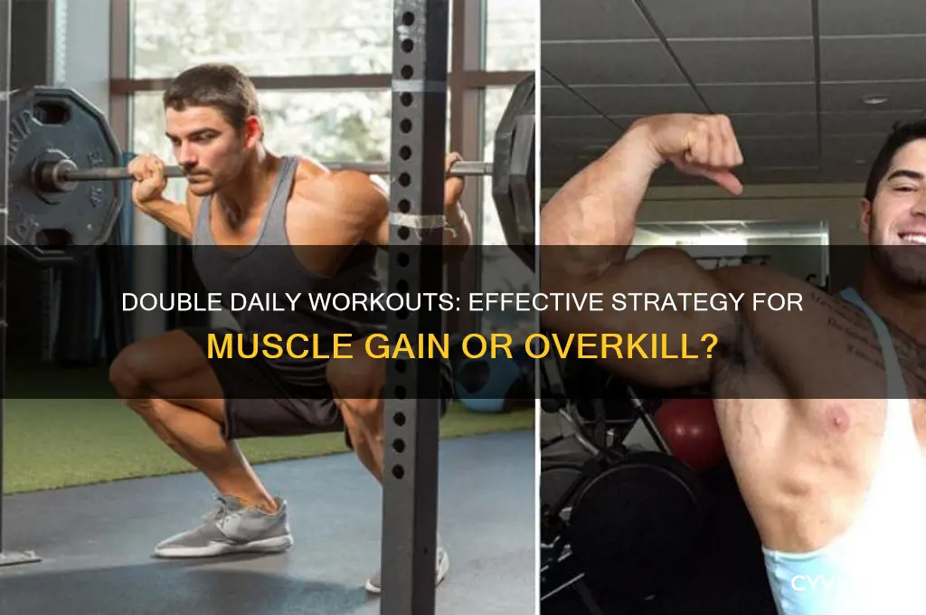 Double Daily Workouts: Effective Strategy For Muscle Gain Or Overkill ...
