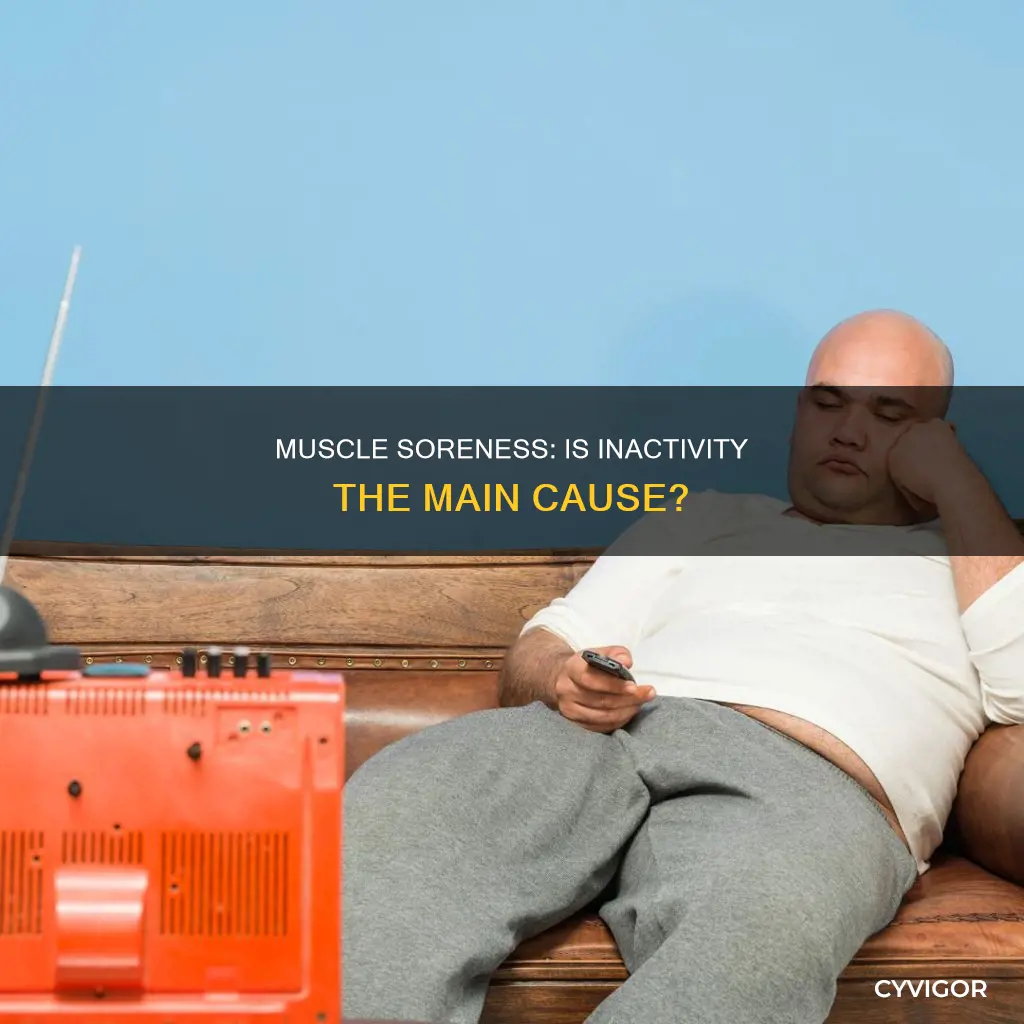 Muscle Soreness: Is Inactivity The Main Cause? | CyVigor