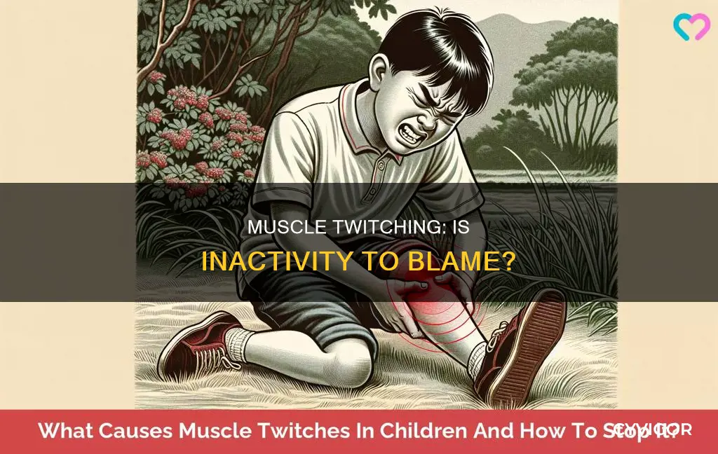Muscle Twitching: Is Inactivity To Blame? | CyVigor