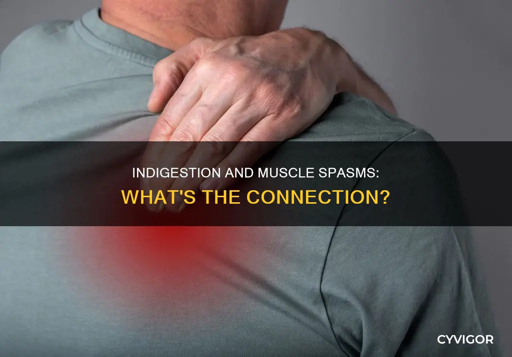 Indigestion And Muscle Spasms: What's The Connection? | CyVigor