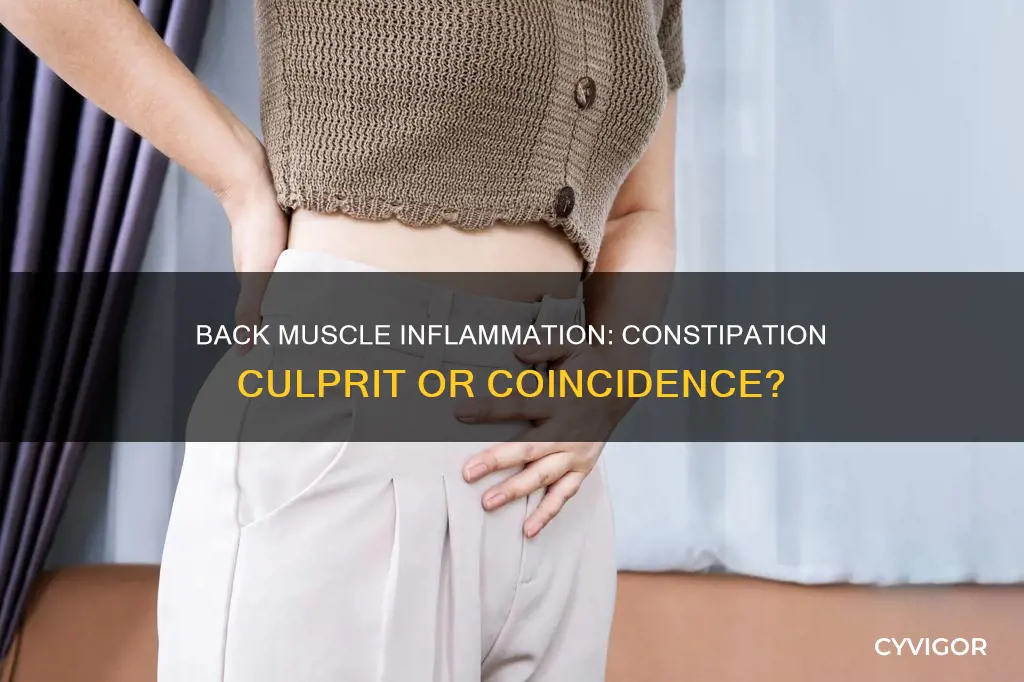 Back Muscle Inflammation: Constipation Culprit Or Coincidence? | CyVigor