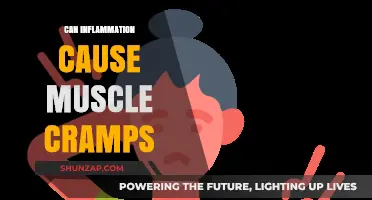 Inflamed Neck Muscles: Why The Popping Noise? | CyVigor