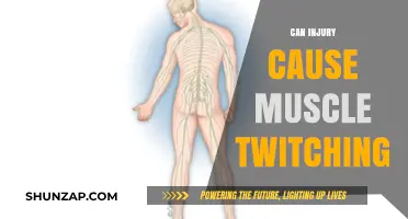 Injection-Related Muscle Pain: What You Need To Know | CyVigor