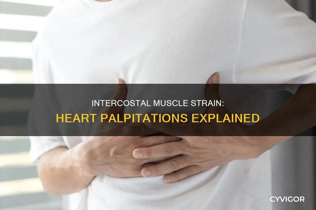 Intercostal Muscle Strain: Heart Palpitations Explained | CyVigor