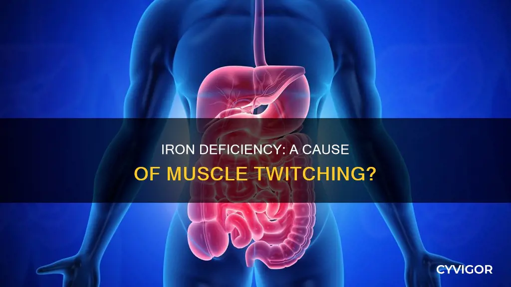 Iron Deficiency: A Cause Of Muscle Twitching? | CyVigor
