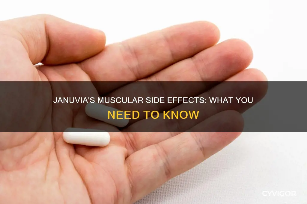 Januvia's Muscular Side Effects: What You Need To Know | CyVigor