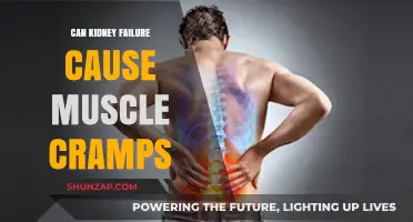Kidney Disease: Muscle Twitching And Its Link | CyVigor