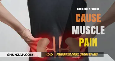 Kidney Failure: Muscle Spasms And Their Link | CyVigor