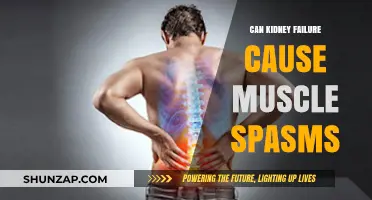 Kidney Disease: Muscle And Joint Pain Explained | CyVigor
