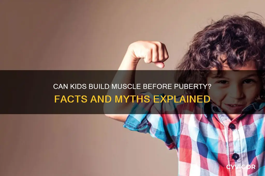 Can Kids Build Muscle Before Puberty? Facts And Myths Explained | CyVigor