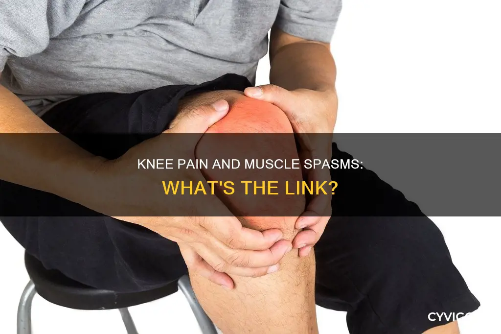 Knee Pain And Muscle Spasms: What's The Link? | CyVigor