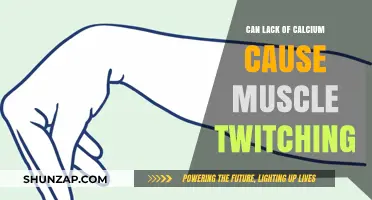 How B12 Deficiency Leads To Muscle Pain And Aches | CyVigor
