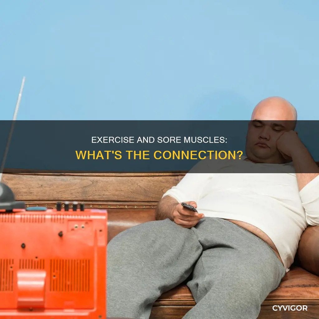 Exercise And Sore Muscles: What's The Connection? | CyVigor