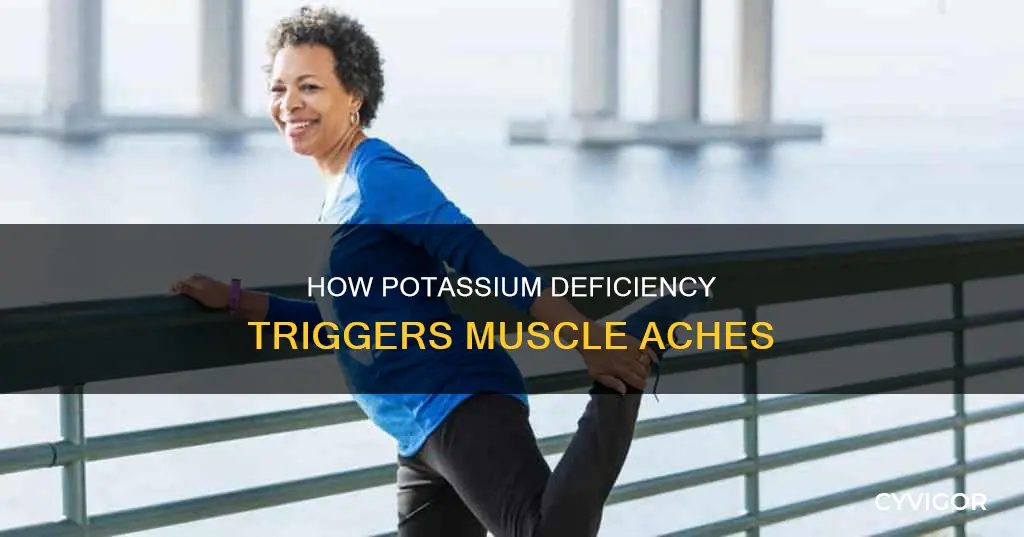 How Potassium Deficiency Triggers Muscle Aches | CyVigor