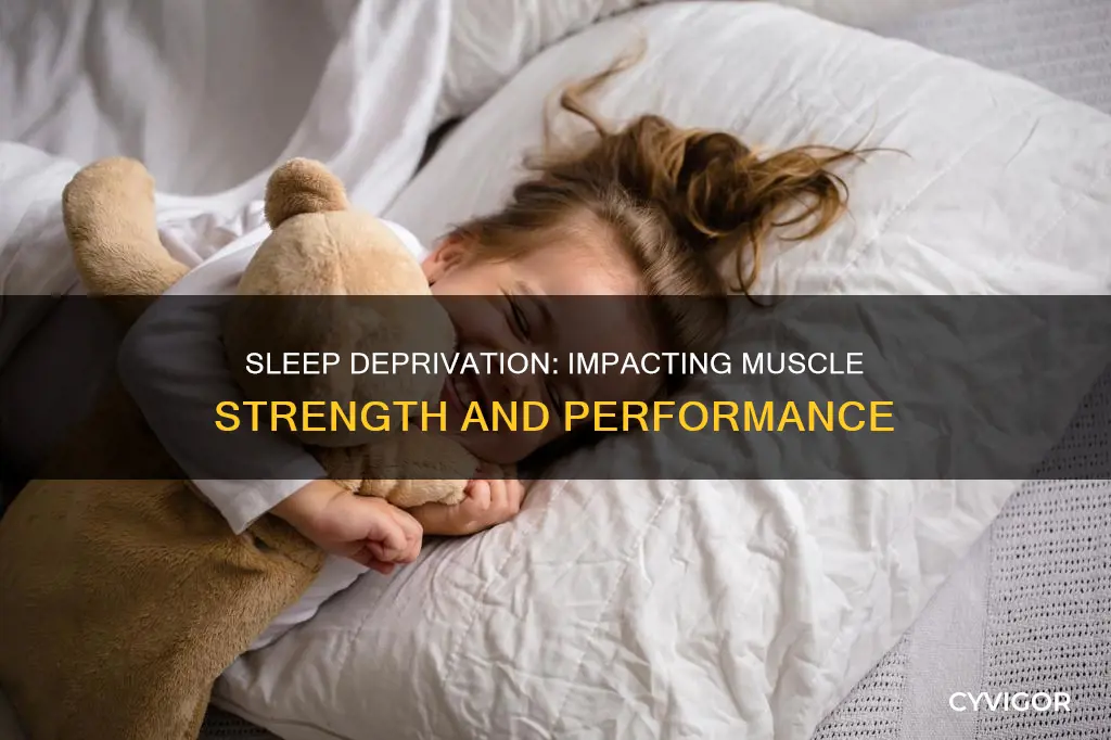 Sleep Deprivation: Impacting Muscle Strength And Performance | CyVigor
