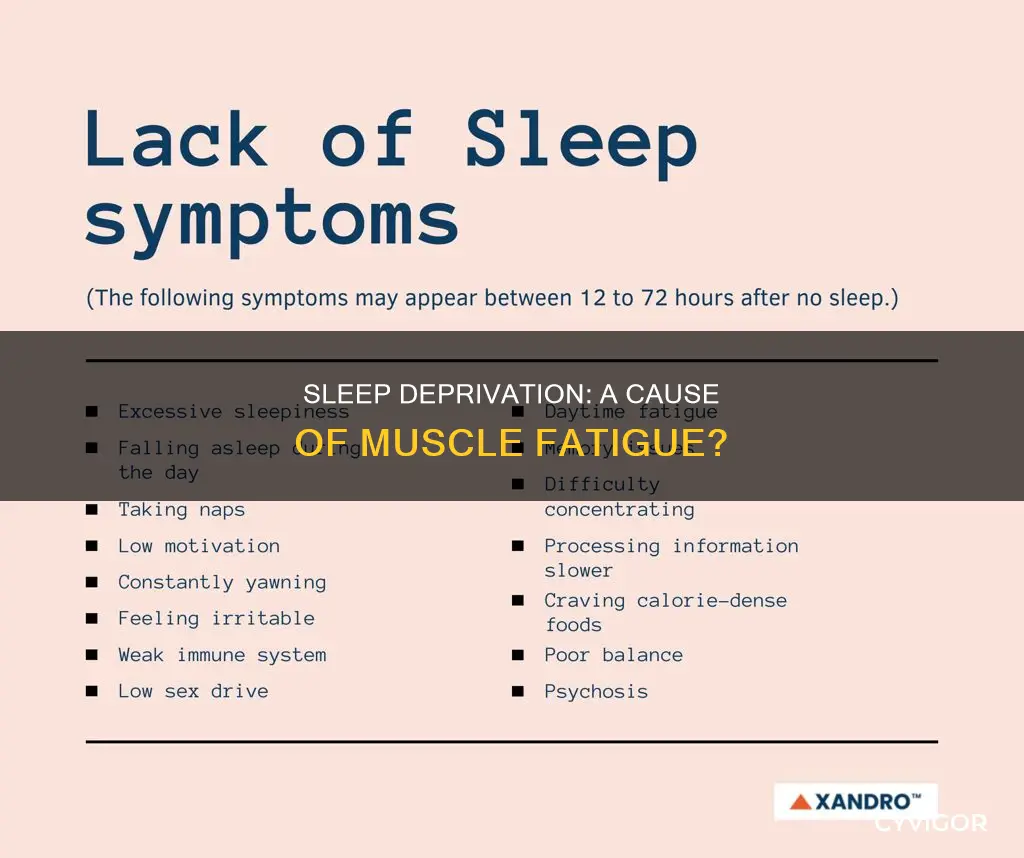 Sleep Deprivation: A Cause Of Muscle Fatigue? | CyVigor