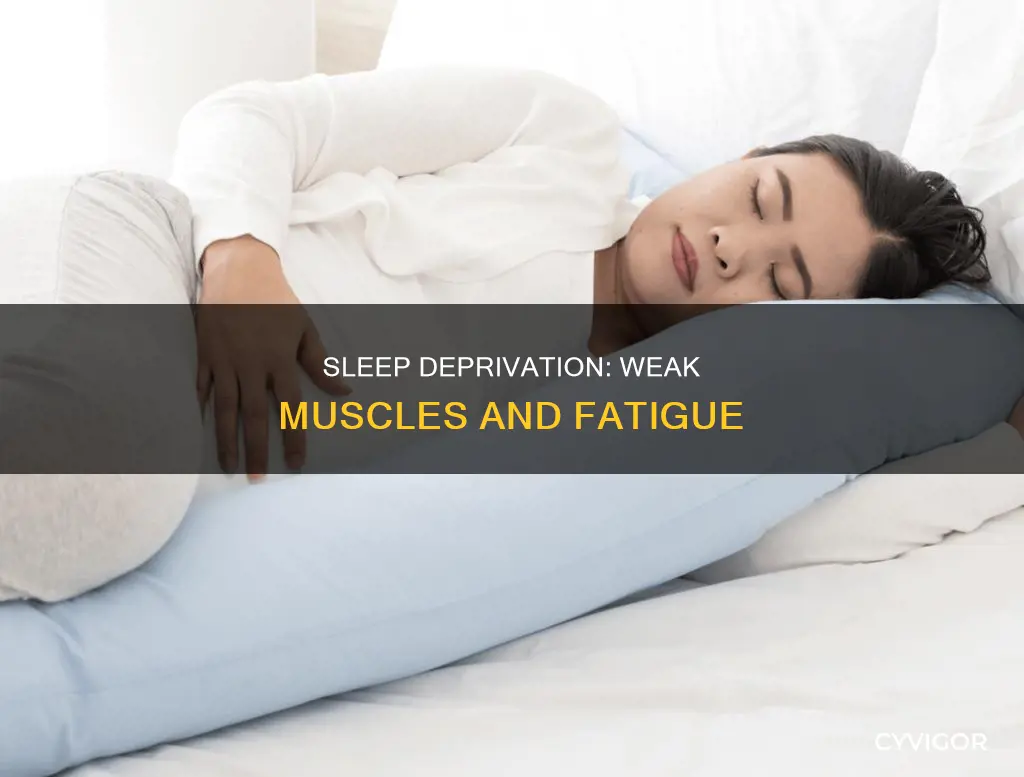 Sleep Deprivation: Weak Muscles And Fatigue | CyVigor