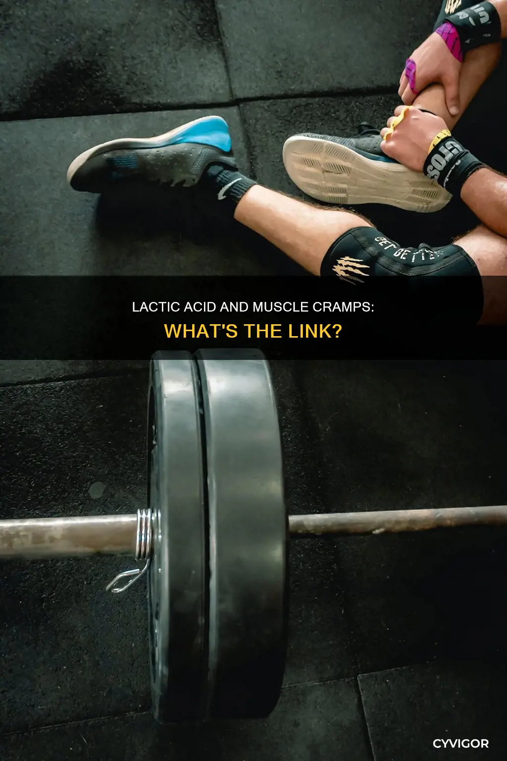 Lactic Acid And Muscle Cramps: What's The Link? | CyVigor