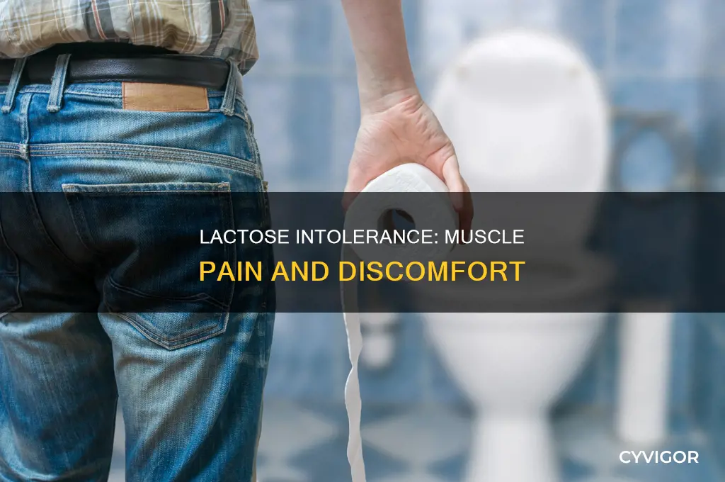 Lactose Intolerance: Muscle Pain And Discomfort | CyVigor
