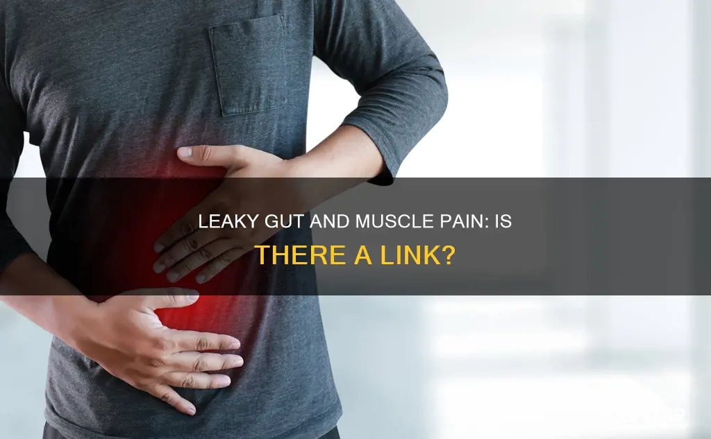 Leaky Gut And Muscle Pain: Is There A Link? | CyVigor