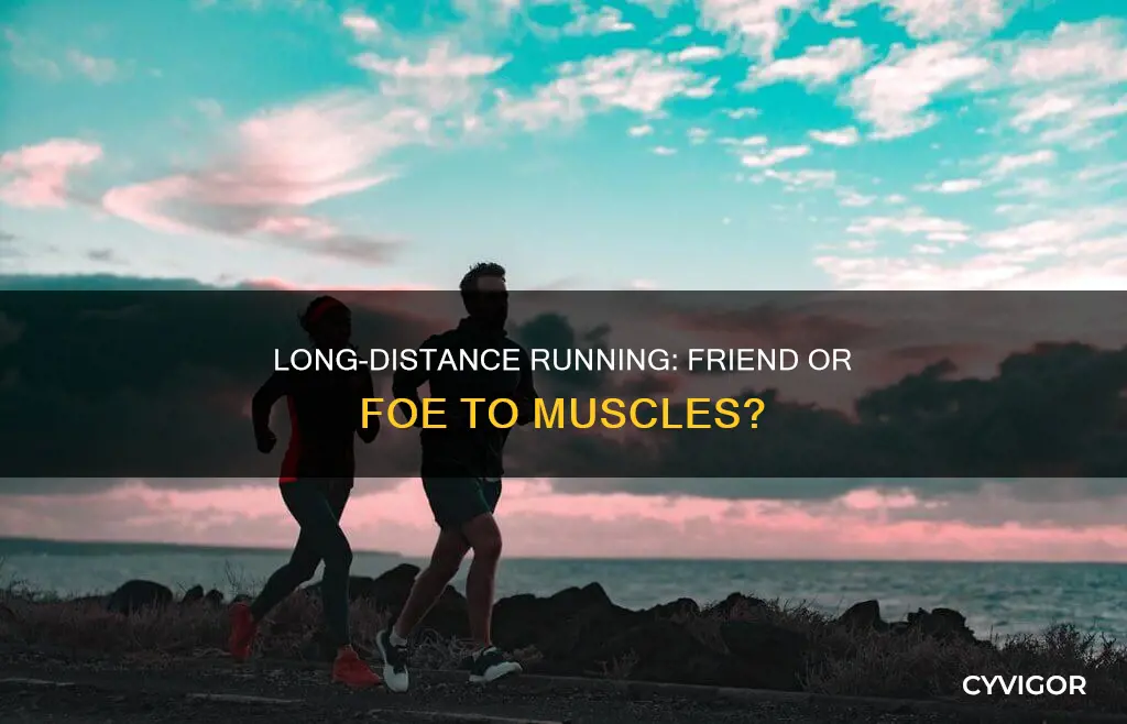 Long-Distance Running: Friend Or Foe To Muscles? | CyVigor