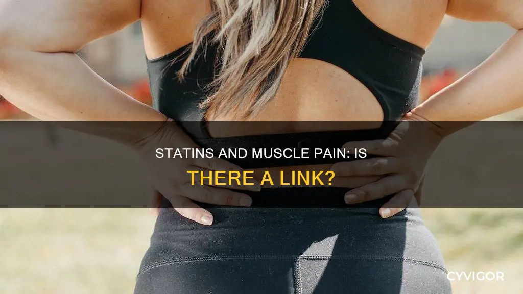 Statins And Muscle Pain: Is There A Link? | CyVigor