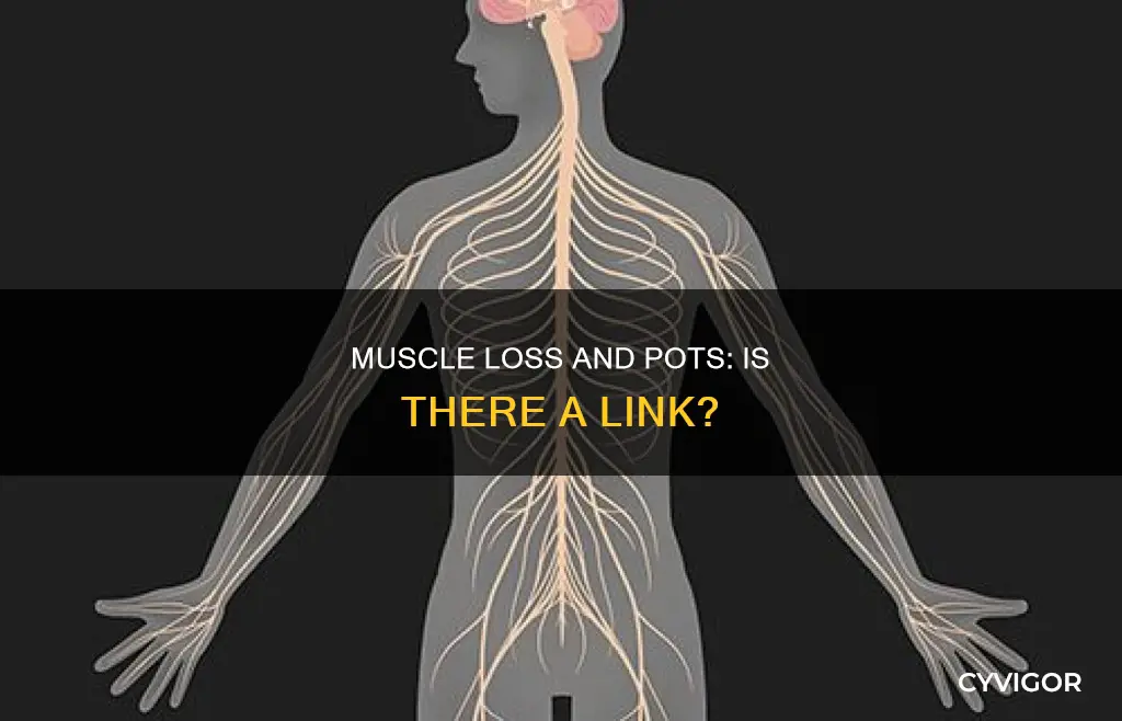 Muscle Loss And Pots: Is There A Link? | CyVigor
