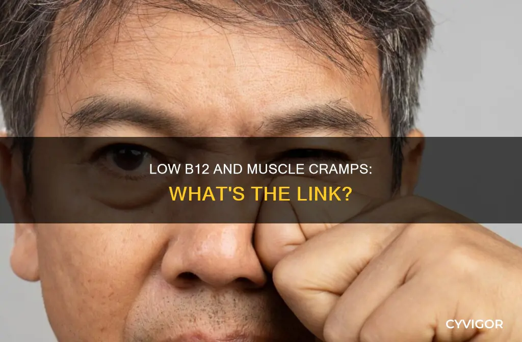 Low B12 And Muscle Cramps: What's The Link? | CyVigor
