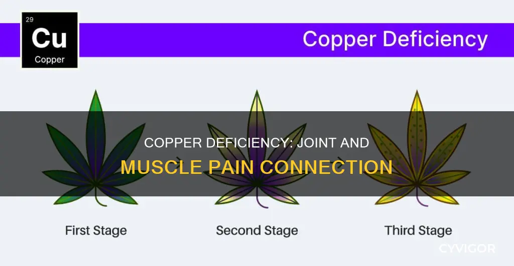 Copper Deficiency: Joint And Muscle Pain Connection | CyVigor