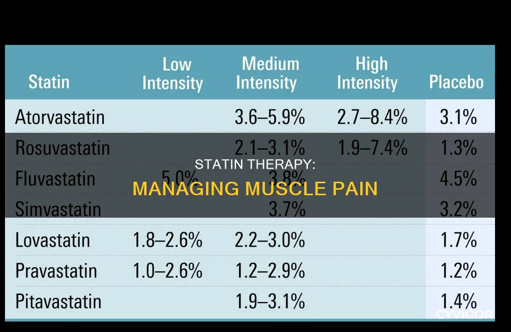 Statin Therapy: Managing Muscle Pain | CyVigor