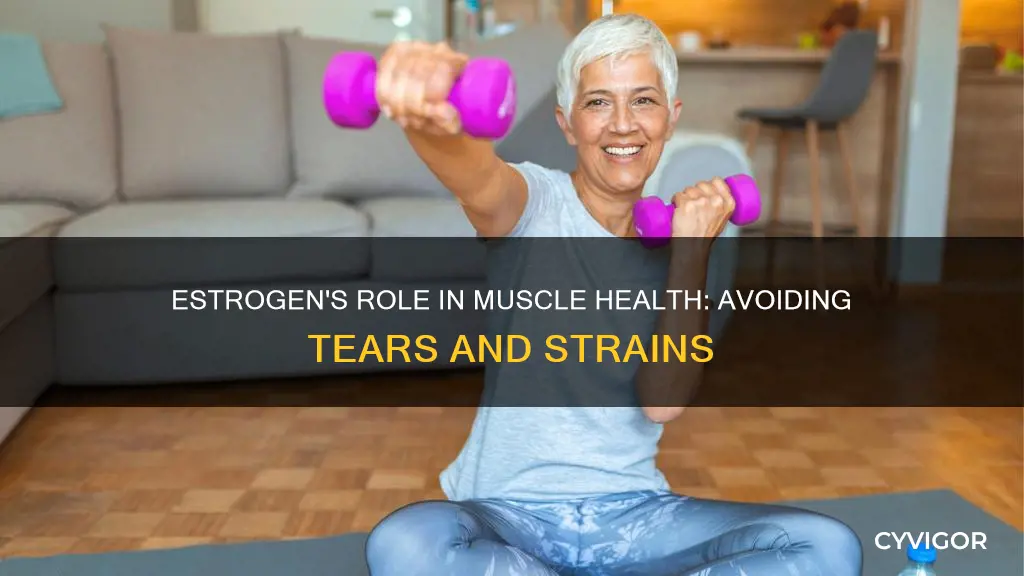 Estrogen's Role In Muscle Health: Avoiding Tears And Strains | CyVigor