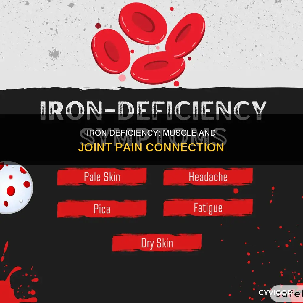 Iron Deficiency: Muscle And Joint Pain Connection | CyVigor