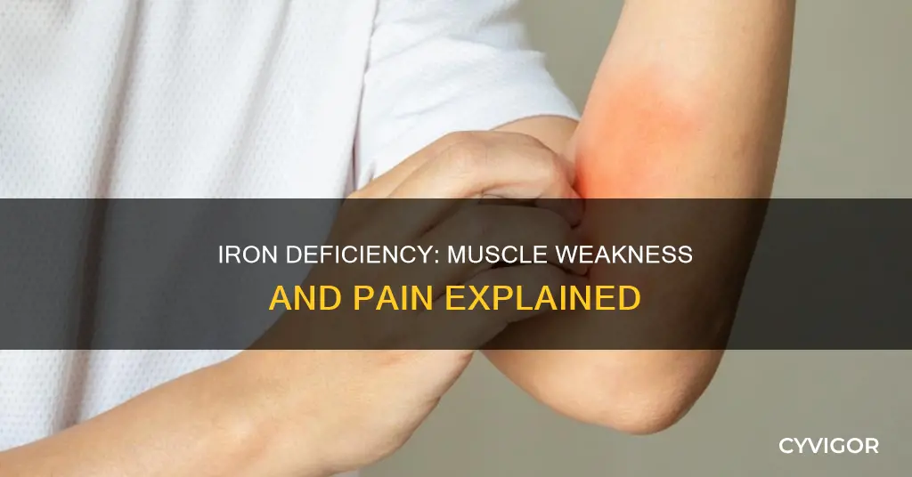 Iron Deficiency: Muscle Weakness And Pain Explained | CyVigor
