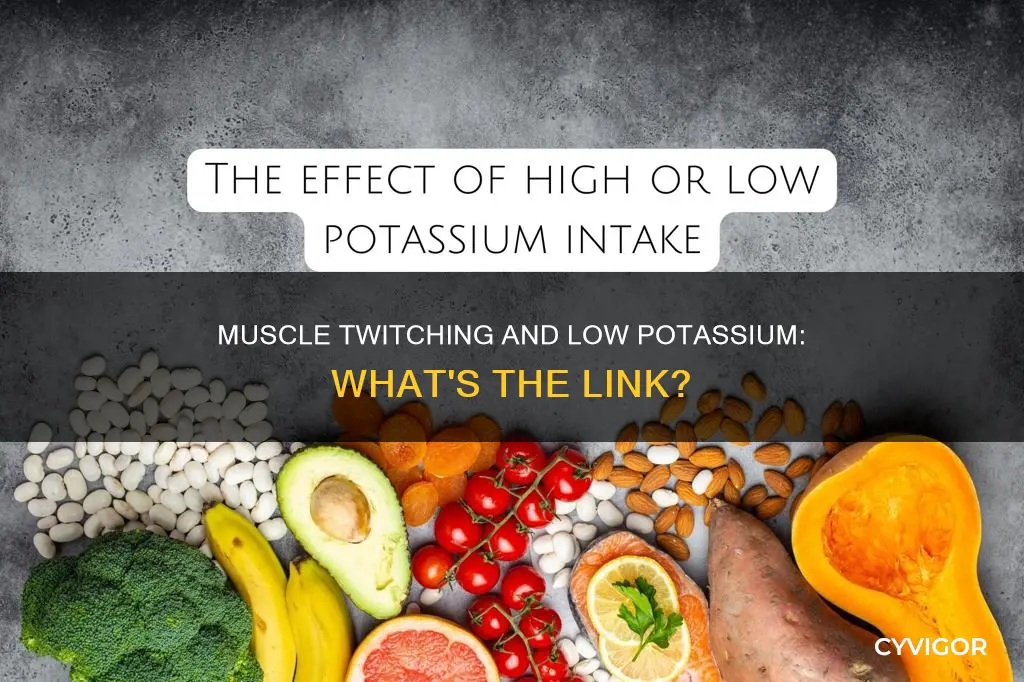 Muscle Twitching And Low Potassium: What's The Link? | CyVigor