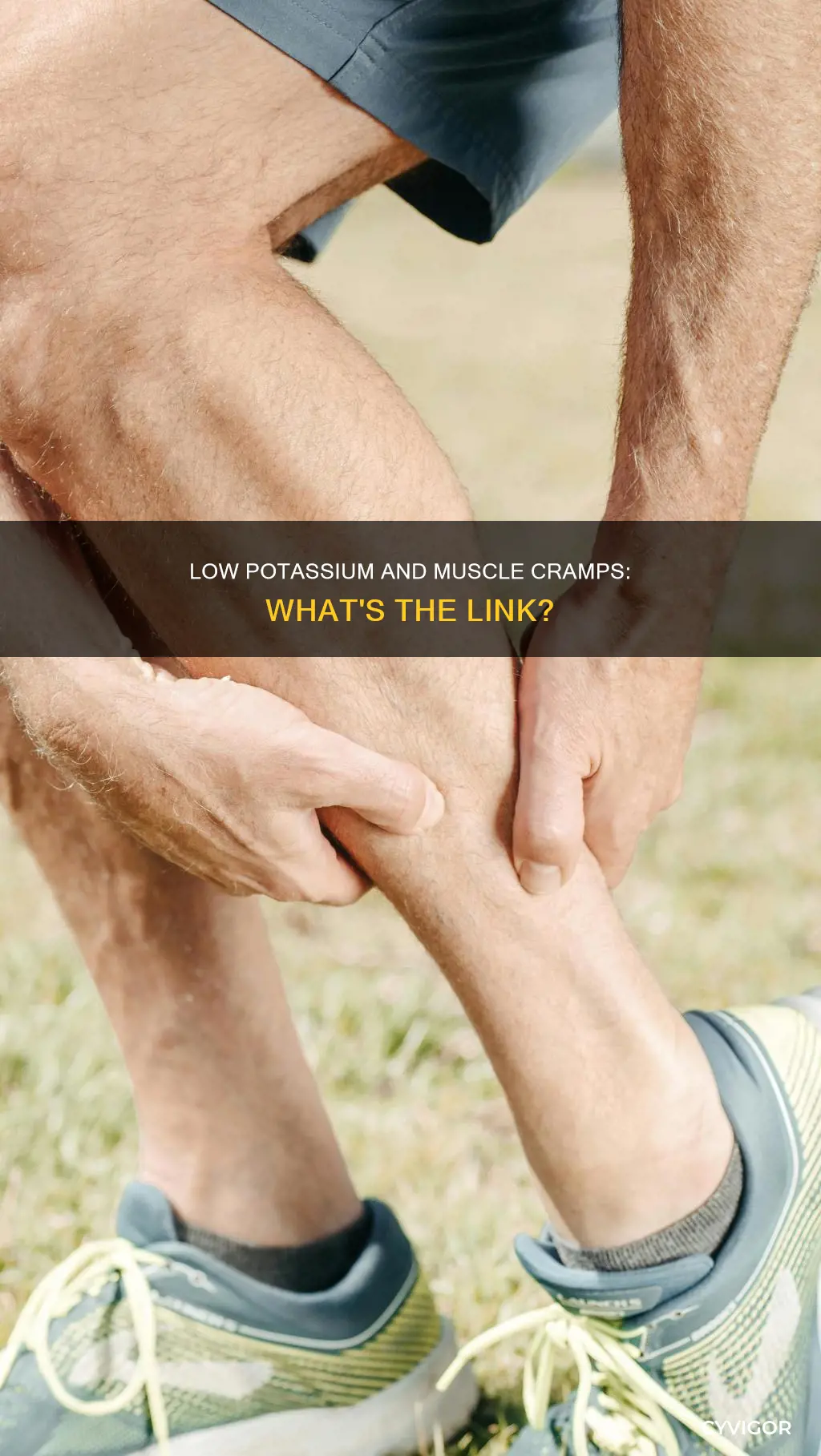 Low Potassium And Muscle Cramps: What's The Link? | CyVigor
