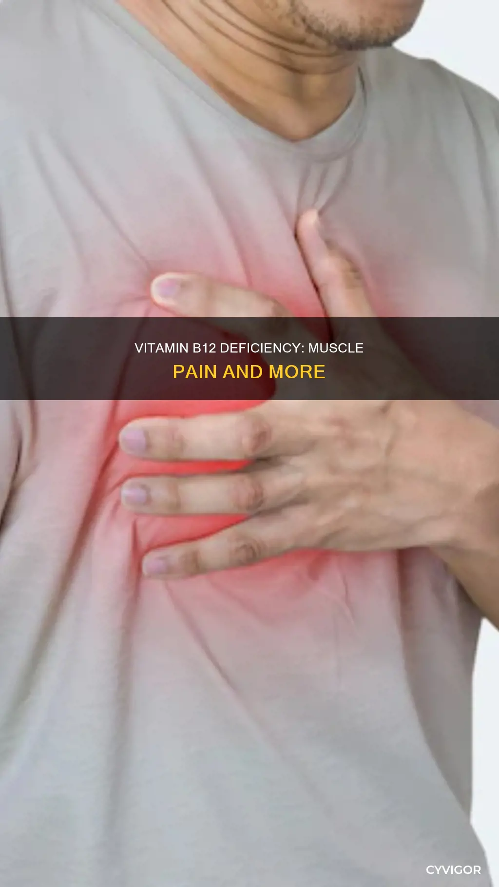 Vitamin B12 Deficiency: Muscle Pain And More | CyVigor