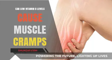 Vitamin D Deficiency: Joint And Muscle Pain Connection | CyVigor